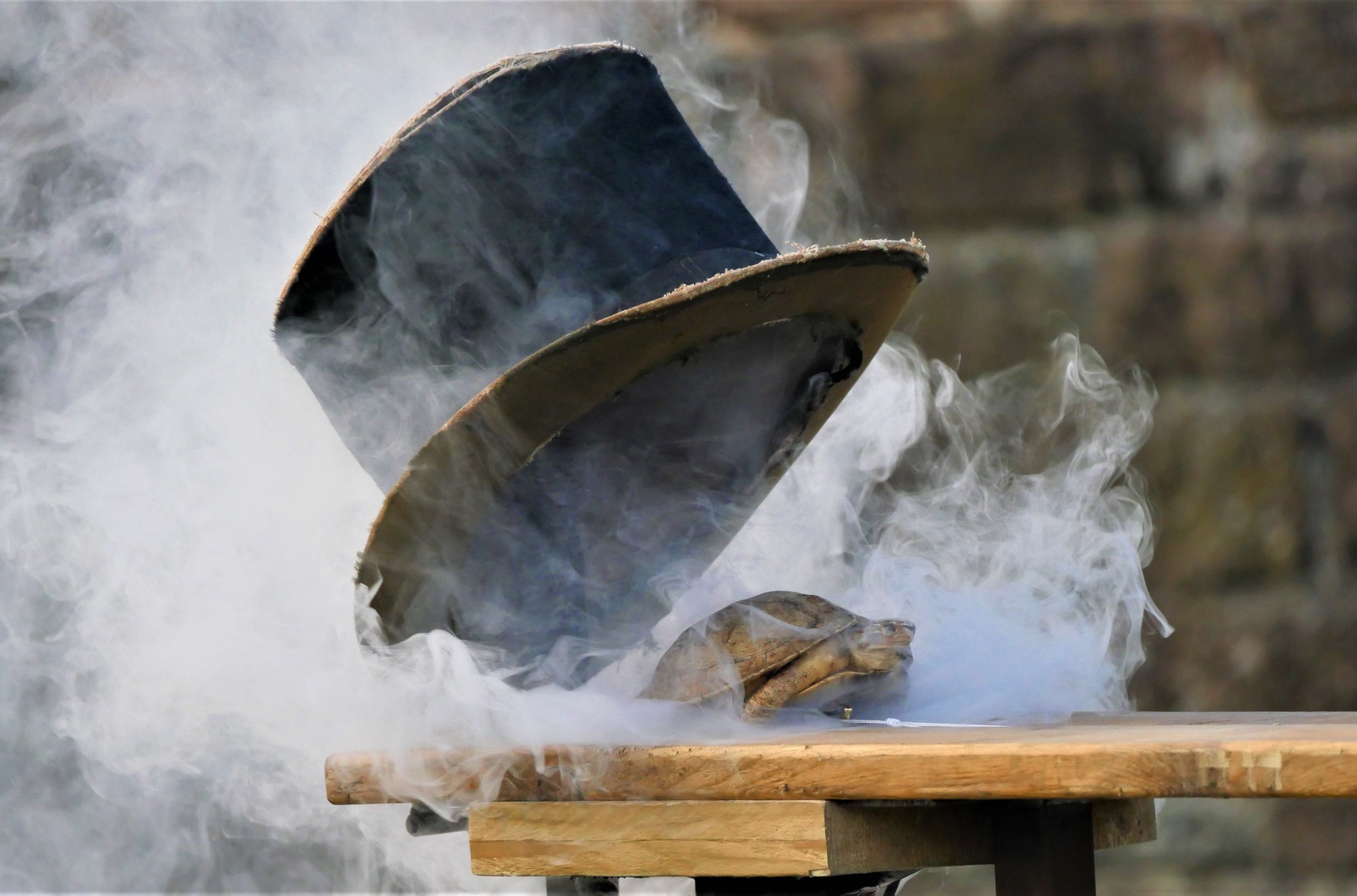 Festival international des Arts de la rue Chassepierre Belgique - Accueil